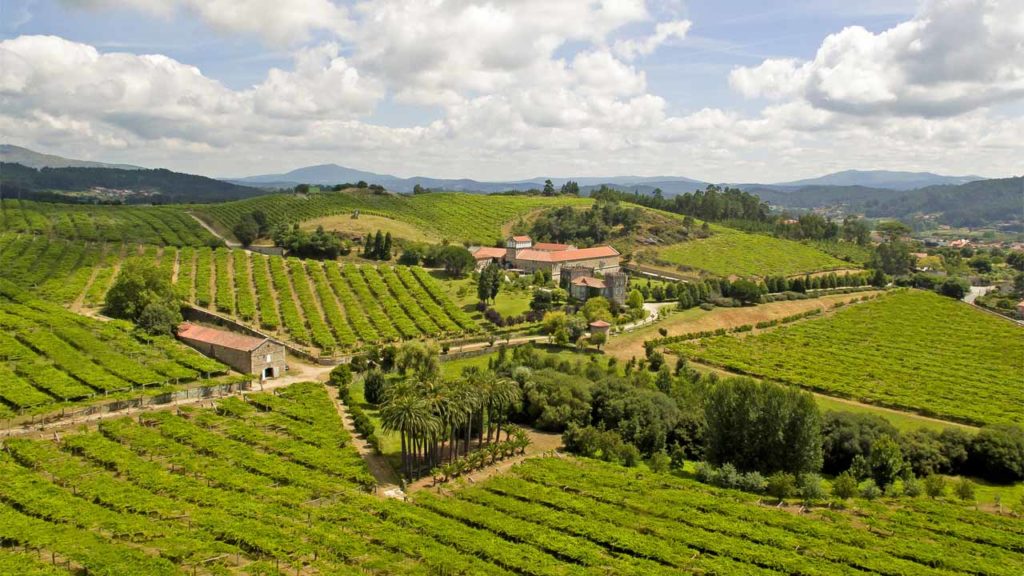 Todo lo que debe saber sobre el vino albariño